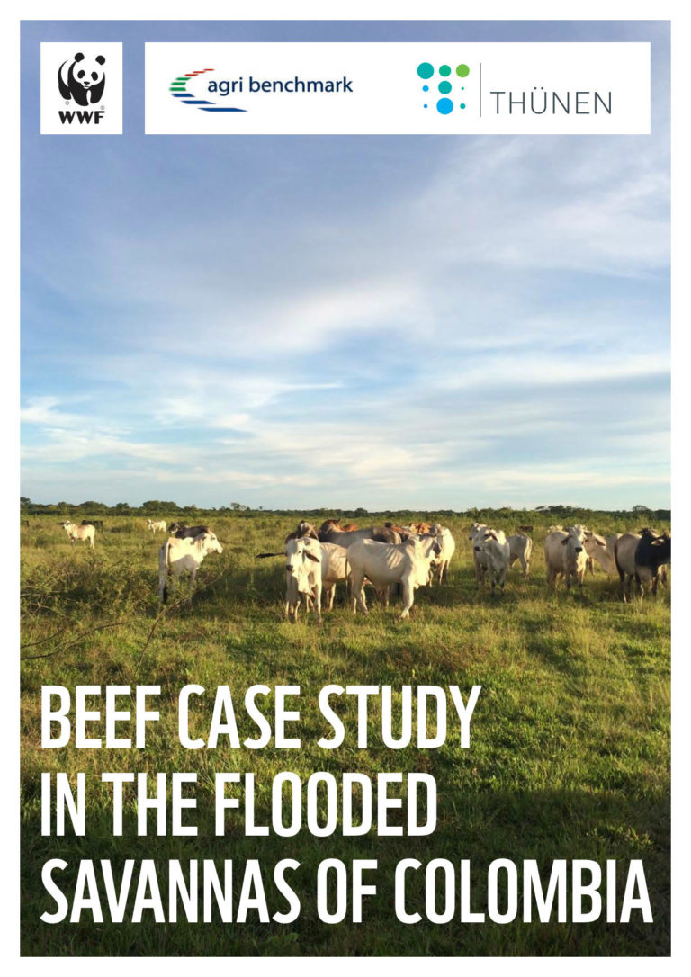 Global Land Use ChangePublications and Results - Global Land Use Change